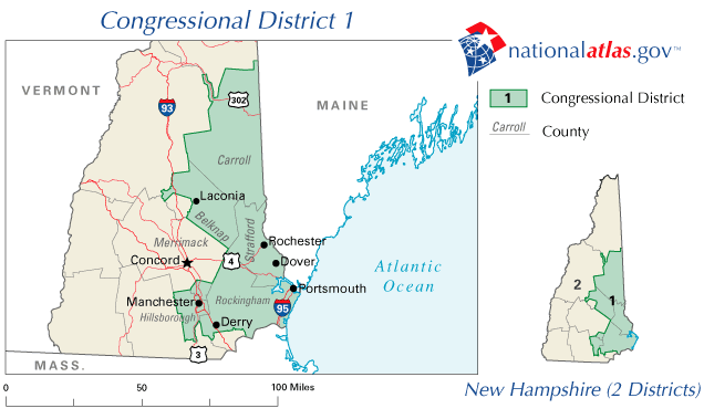 RealClearPolitics - Election 2010 - New Hampshire 1st District - Guinta ...